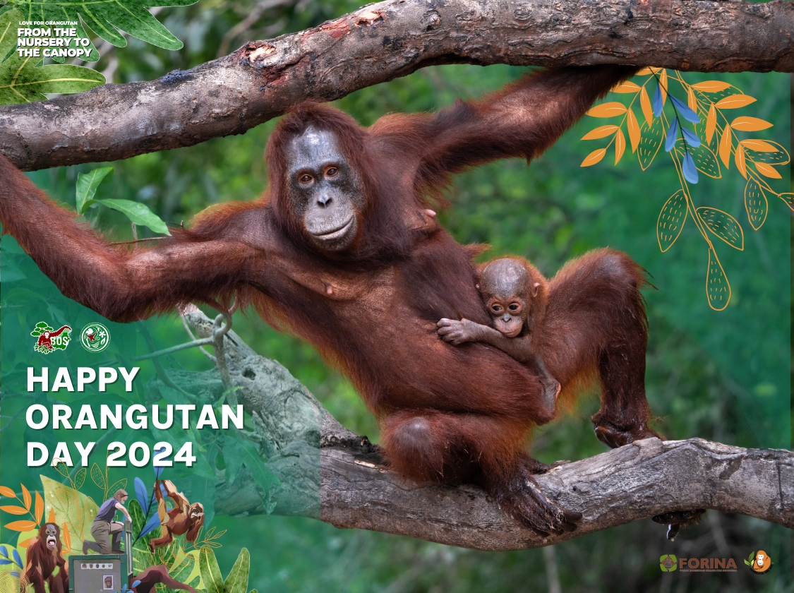 ORANGUTAN DAY