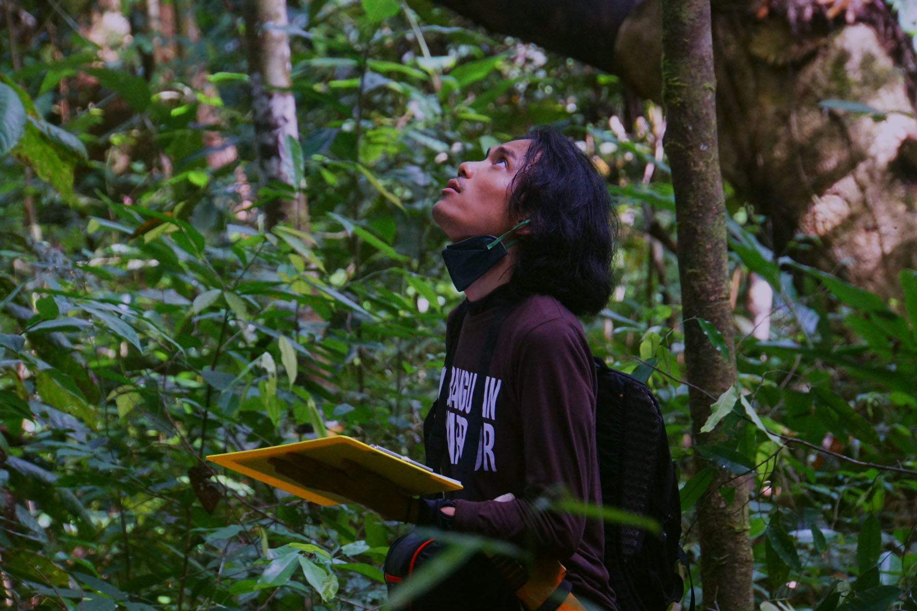 Post Release Monitoring