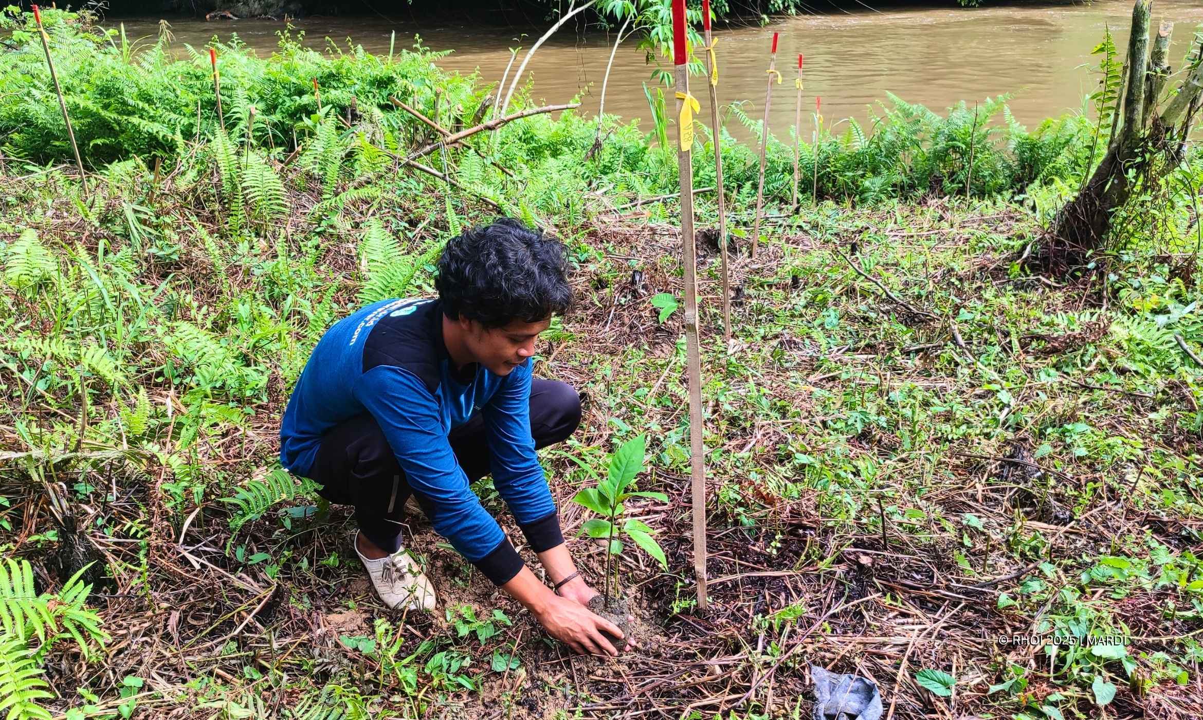 PLANTING HOPES IN THE KEHJE SEWEN FOREST